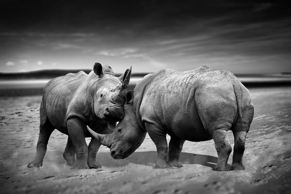 Clickhouse Vs Postgresql And Mysql For Real Time Analytics